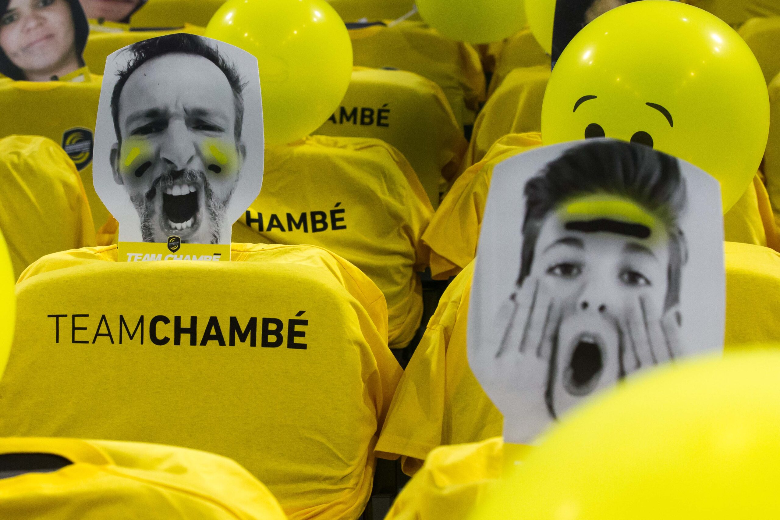 Handball - Des photos de supporters pour remplir les tribunes de ...
