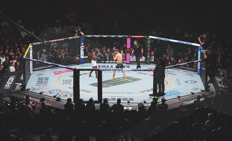 UFC Paris 2025 : Imavov et Saint Denis - programme, diffusion TV et ...