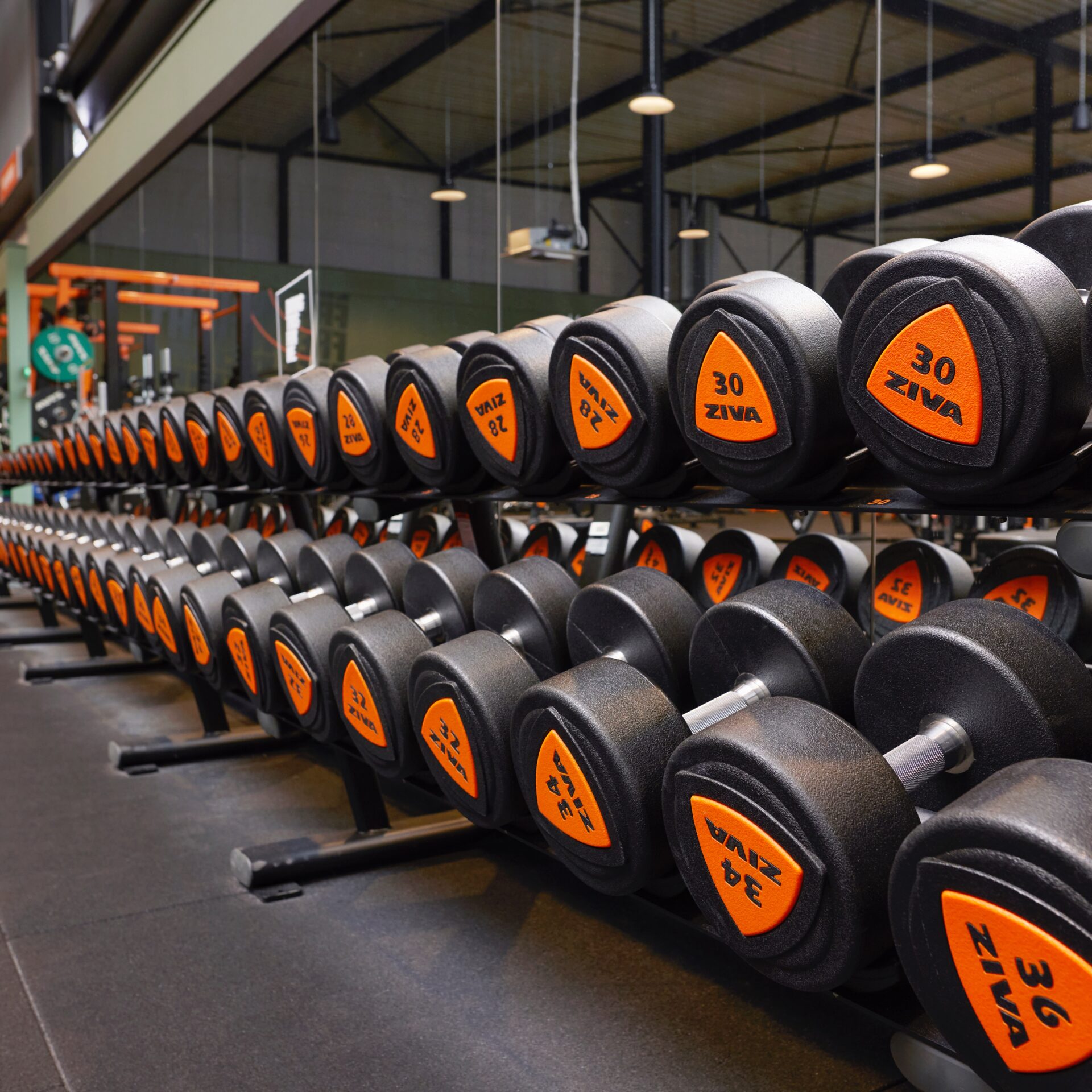 Basic-Fit continue de pousser au premier trimestre - Sport Buzz Business