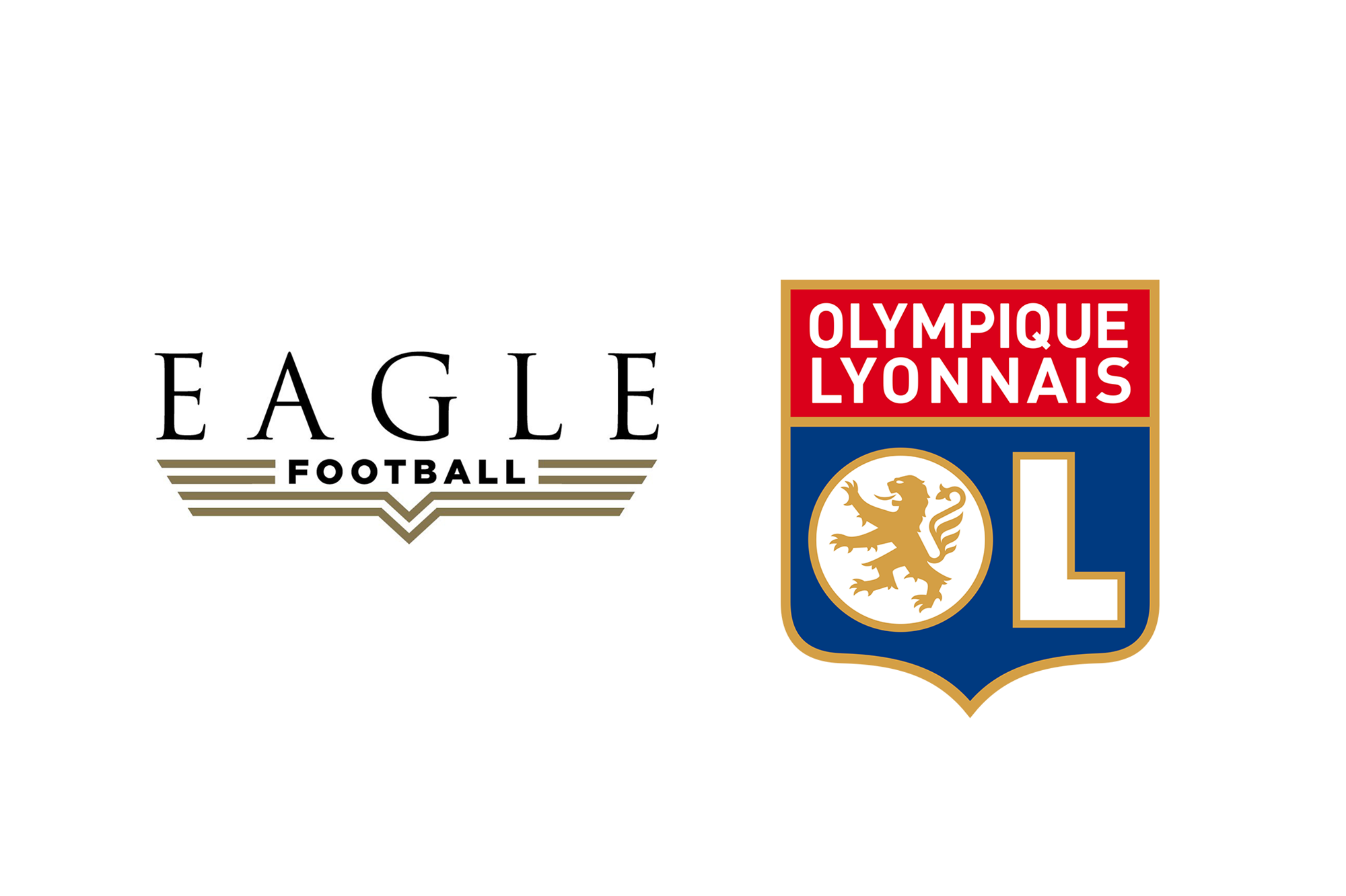 Offre Emploi : Chef de Groupe Trade Marketing - Eagle Group - Sport ...